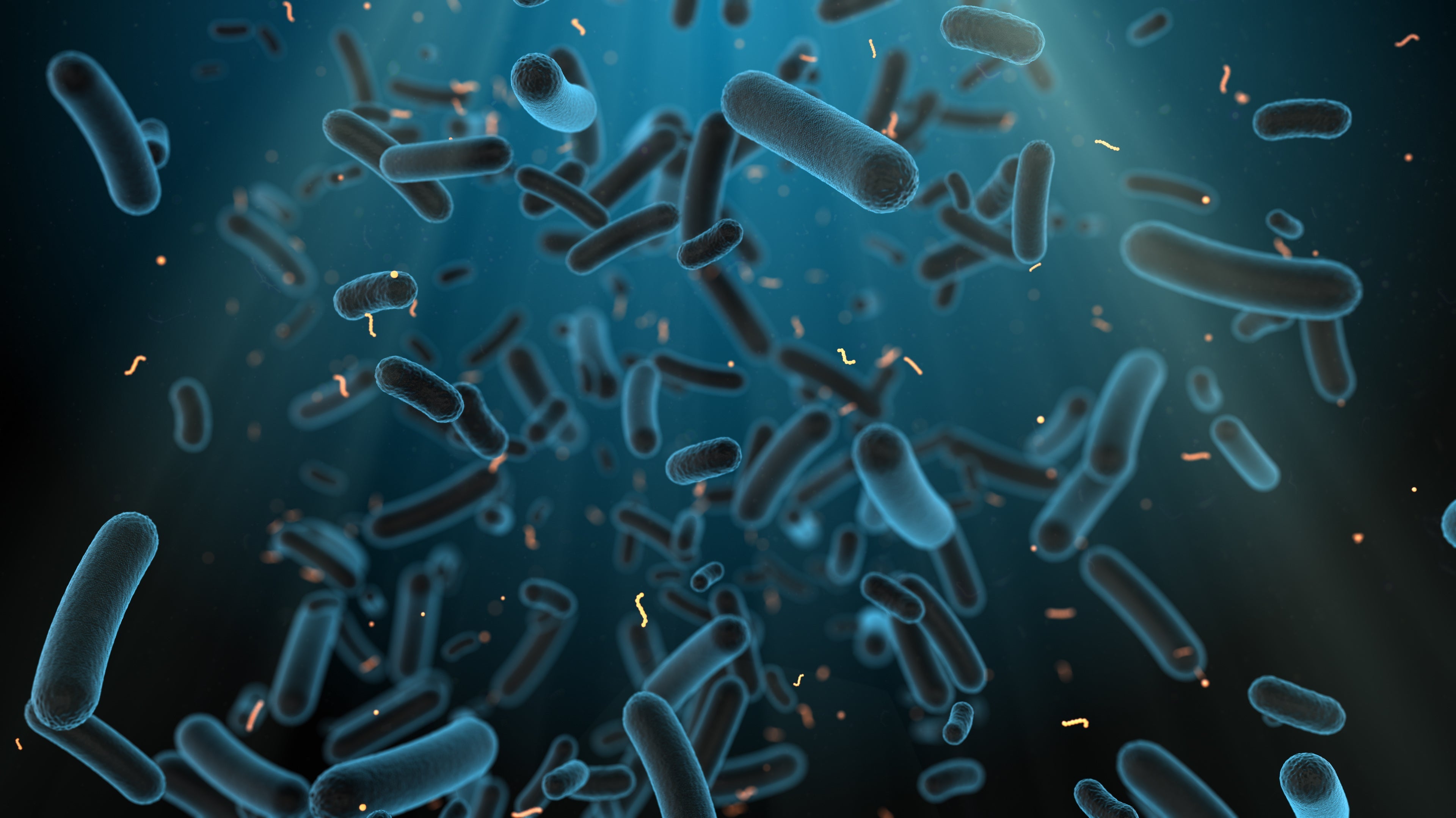 Foodborne Illness & The Role of PPE in Your Prevention Strategy